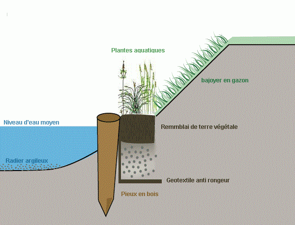 Aménagement d'une berge de rivière en Indre et Loire - Esprit Vert